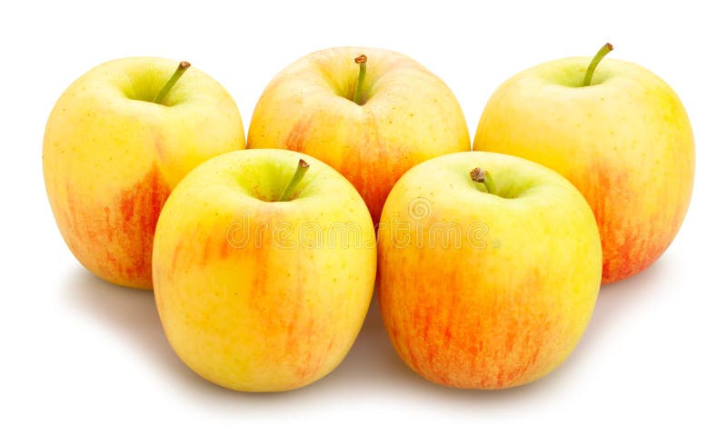 Yellow apples stock photo. Image of closeup, juicy, vivid - 126019266