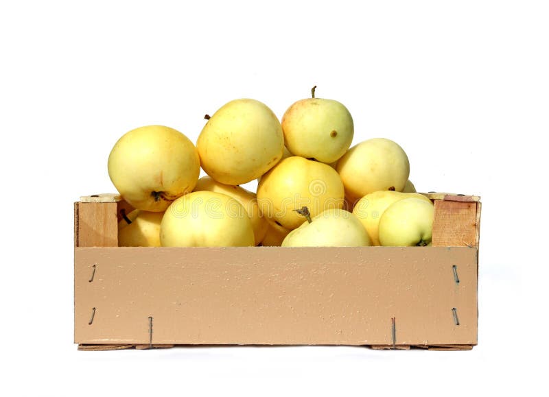 Yellow Apples in a Wooden Box Stock Photo - Image of delicious, harvest ...