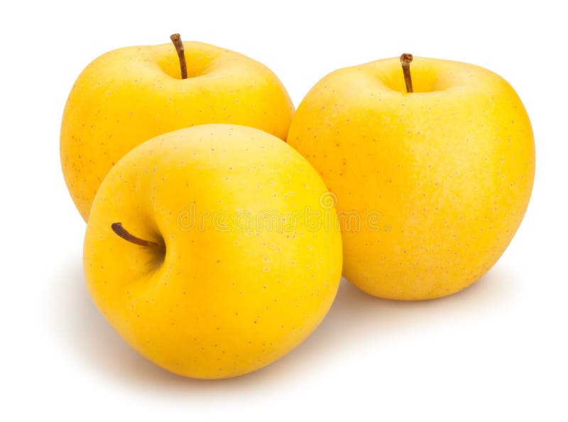 Red, Green and Yellow Apples Stock Photo - Image of agriculture, fruit: 40612492