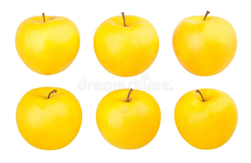 Yellow apples stock photo. Image of apple, cutout, antioxidant - 105086374