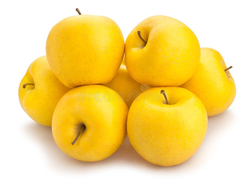 Yellow apples stock photo. Image of isolated, freshness - 105086380