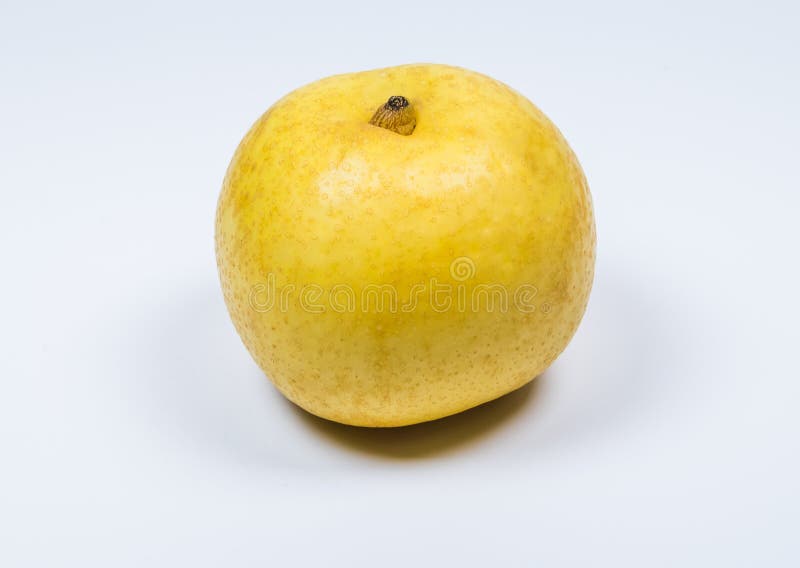 Yellow Asian Flower Closeup. Stock Image - Image of asain, forest: 66765639