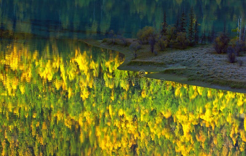 Yellow Autumn,abstract Reflection in the Lake Stock Photo - Image of ...