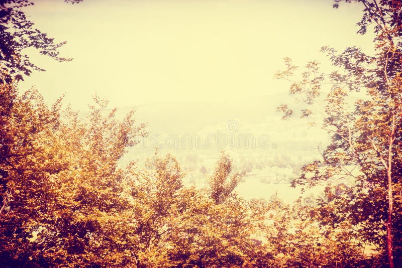 Autumn Blur Background - Stock Photo Stock Image - Image of gold, light ...