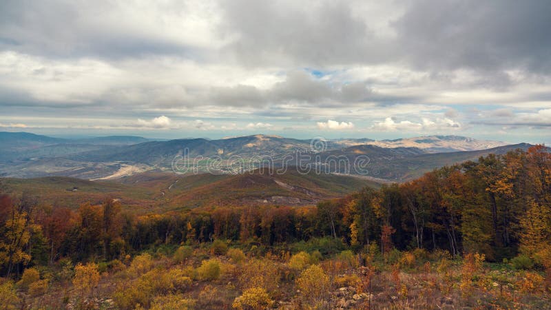 Yellow Autumn Forest on a Mountain Slope Stock Photo - Image of country ...