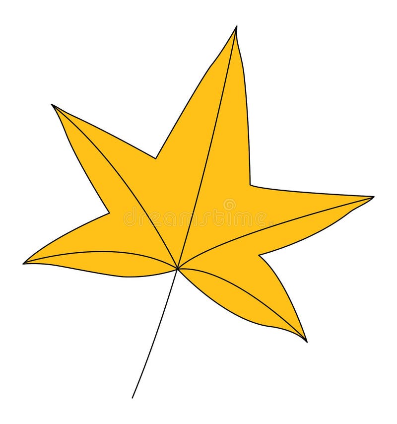 Sweet Gum Tree Leaf. Liquidambar Styraciflua. Stock Vector ...