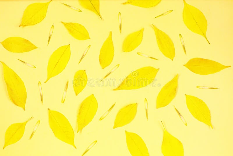 Yellow Autumn Leafs Pattern on Yellow Background. Stock Image - Image ...
