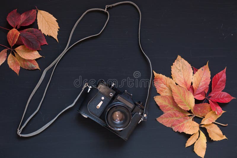 Yellow Autumn Leaves Old Camera Background Z Stock Photo - Image of ...