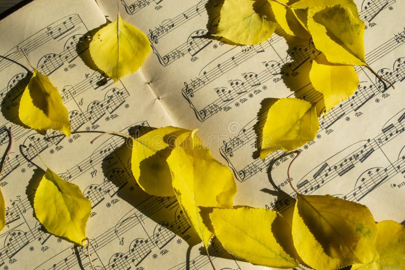 Yellow Autumn Leaves on Open Notes. Sheet Music and Autumn. Yellow ...