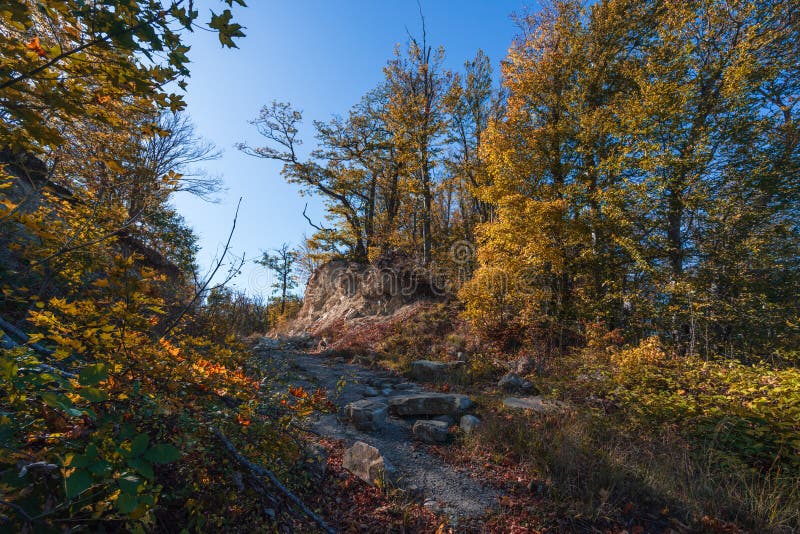 Yellow Autumn Tree on the Edge of a Collapsing Rock Stock Image - Image ...