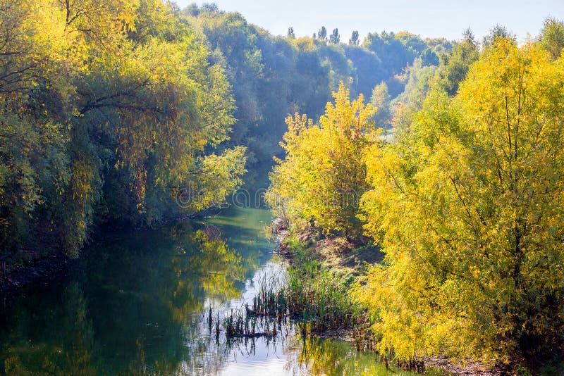 Yellow Autumn Trees Near River, Autumn Landscape Stock Photo - Image of ...