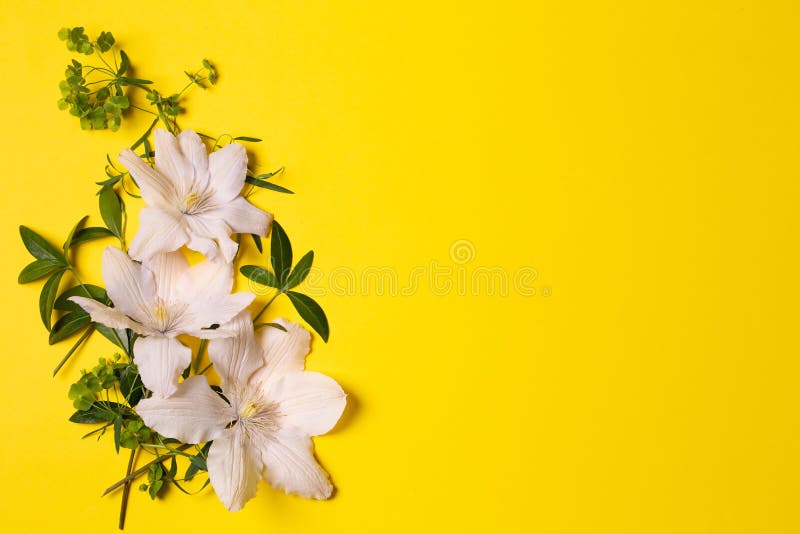 Fresh bouquet of peonies stock photo. Image of arrangement - 31473638