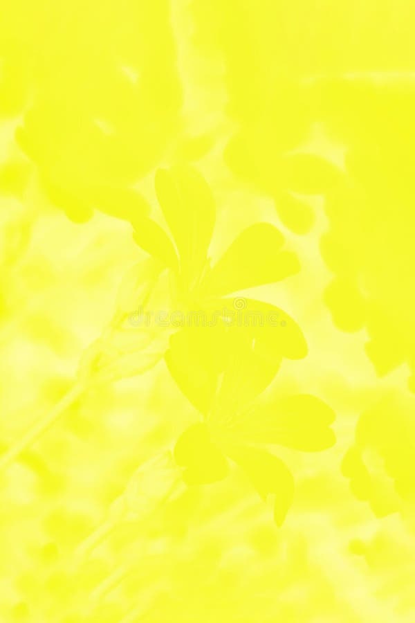Yellow Background with Flowers Pattern, Vivid Background Stock ...