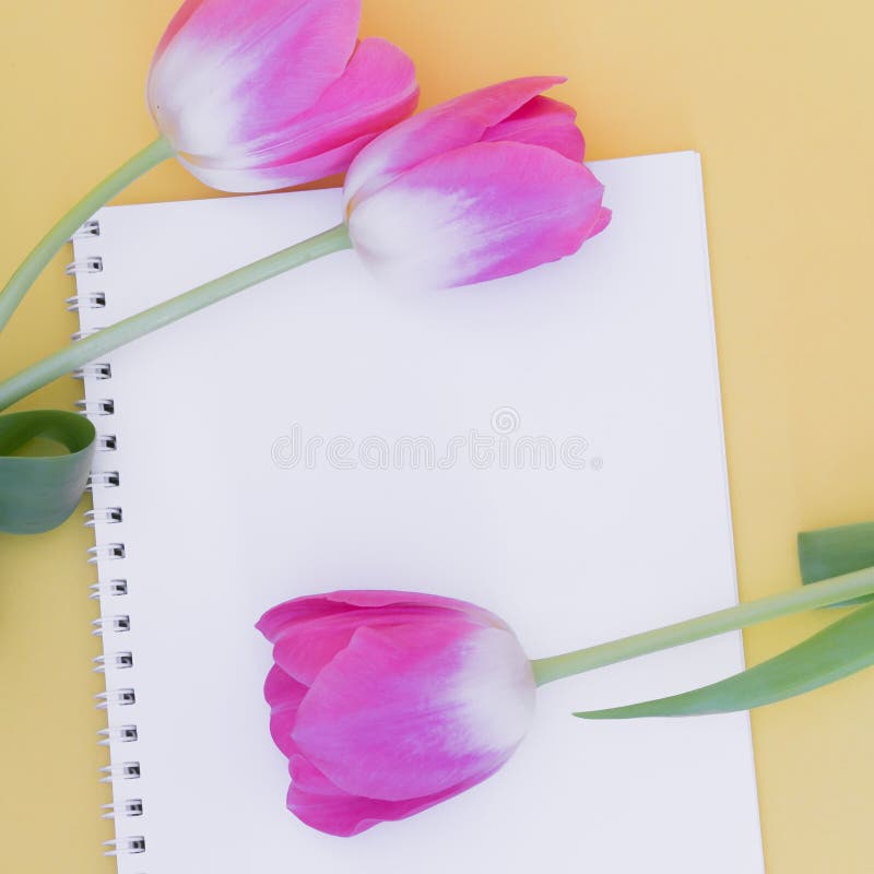 Tulips on a notebook stock photo. Image of tulip, spring - 110544446