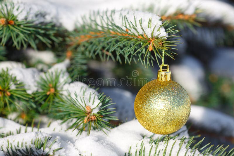 Yellow Ball on the Christmas Tree Stock Image - Image of needle, cool ...