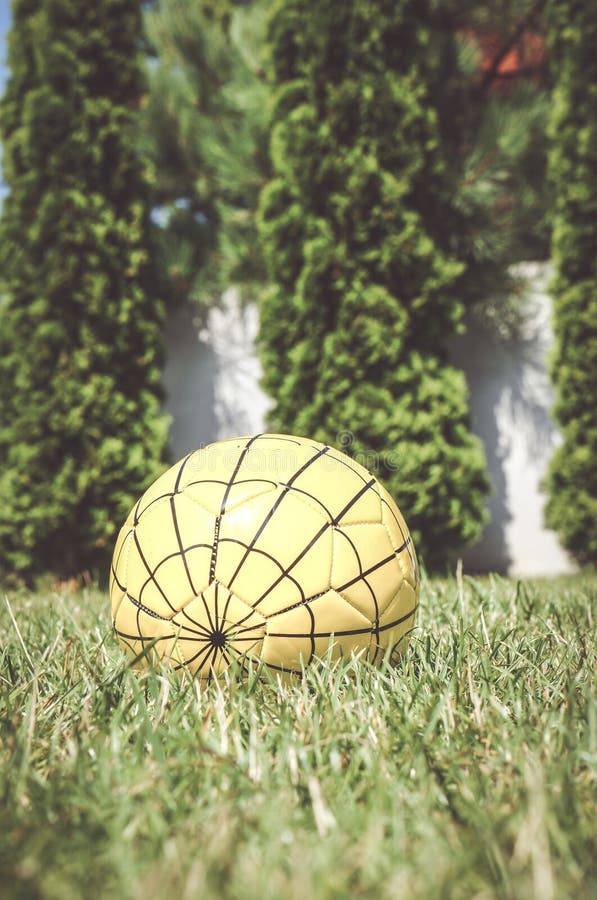 Yellow ball stock photo. Image of biome, meadow, ball - 79128164