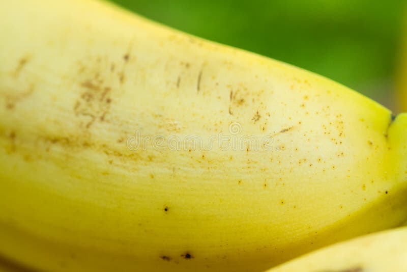 Yellow Banana Detailed Texture Close Up Stock Photos - Free & Royalty ...