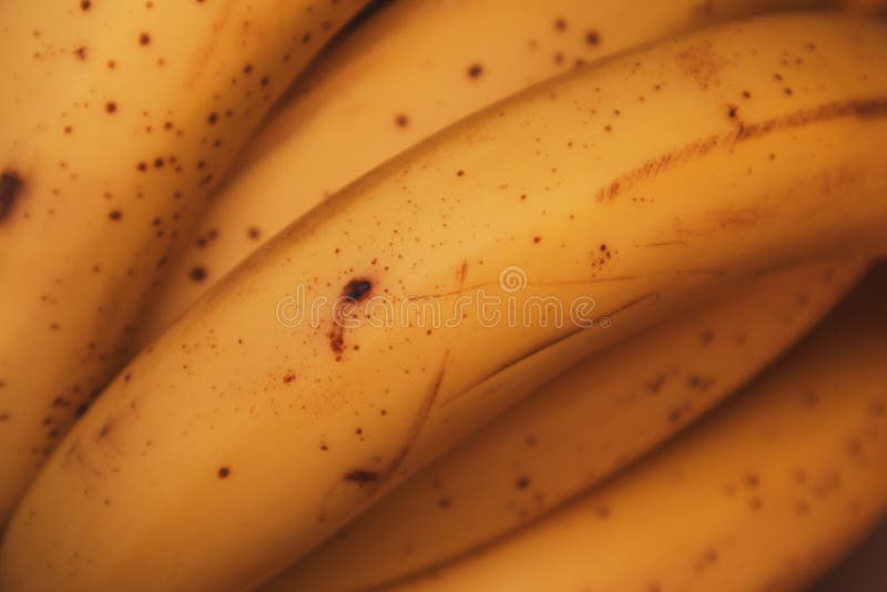 Banana texture stock photo. Image of fruits, bananas, colours - 58610