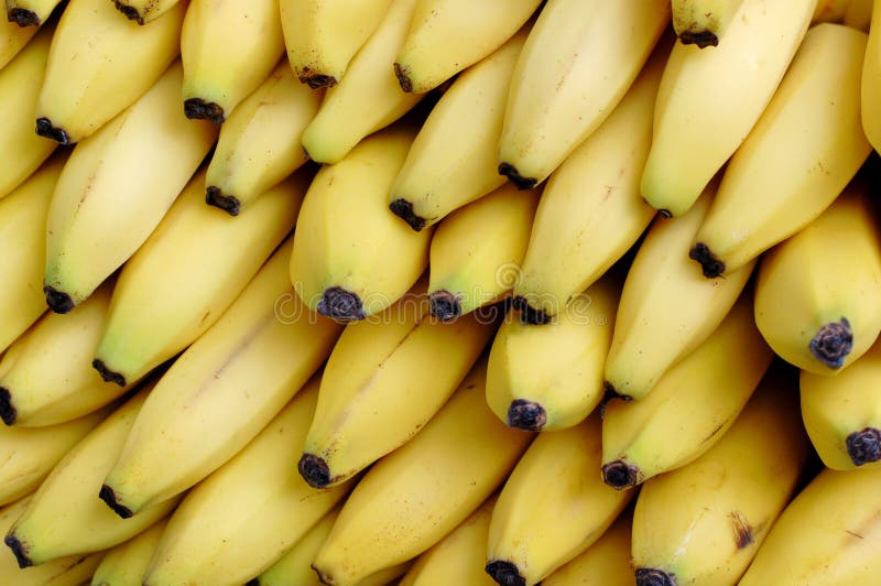 Yellow Bananas stock image. Image of vitamins, yellow - 21443575