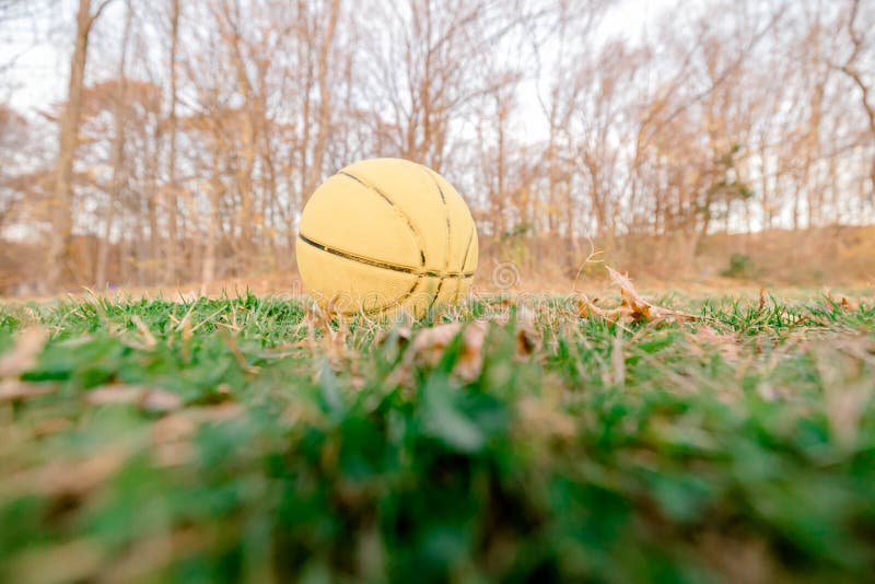Yellow Basketball on Grass Outside School Stock Image - Image of ...