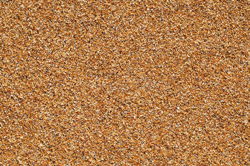 Yellow Beach Sand from Small Crushed Parts of Shells Close-up, Uniform ...