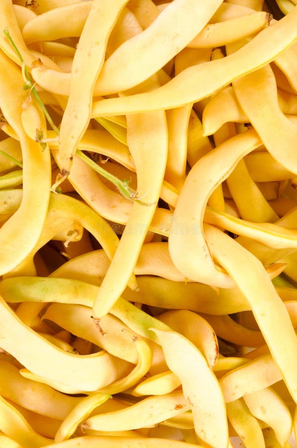 Yellow Bean stock image. Image of bean, organic, produce - 97490477