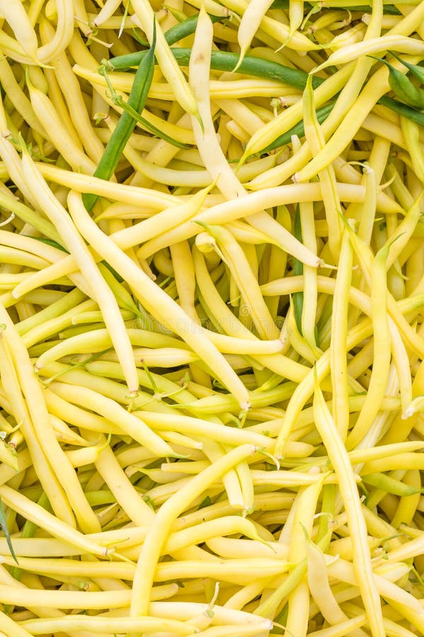 Yellow Snap Beans on Display Stock Image - Image of vegetarian, organic ...