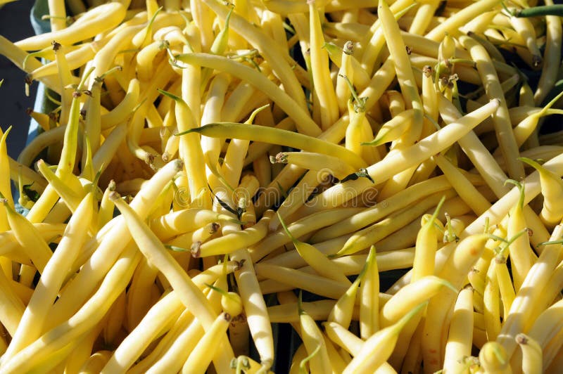 Yellow beans stock photo. Image of yellow, delicious - 30970990