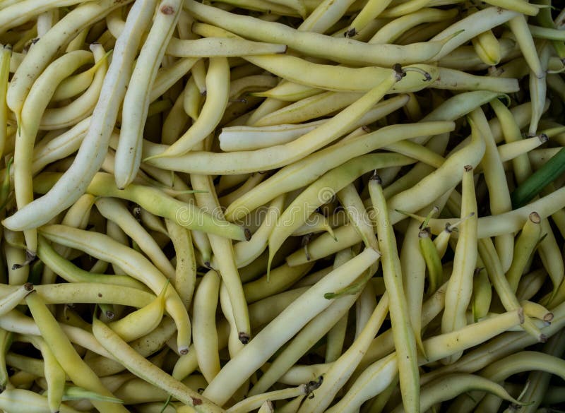 Yellow beans stock image. Image of green, freshness, tasty - 74378925