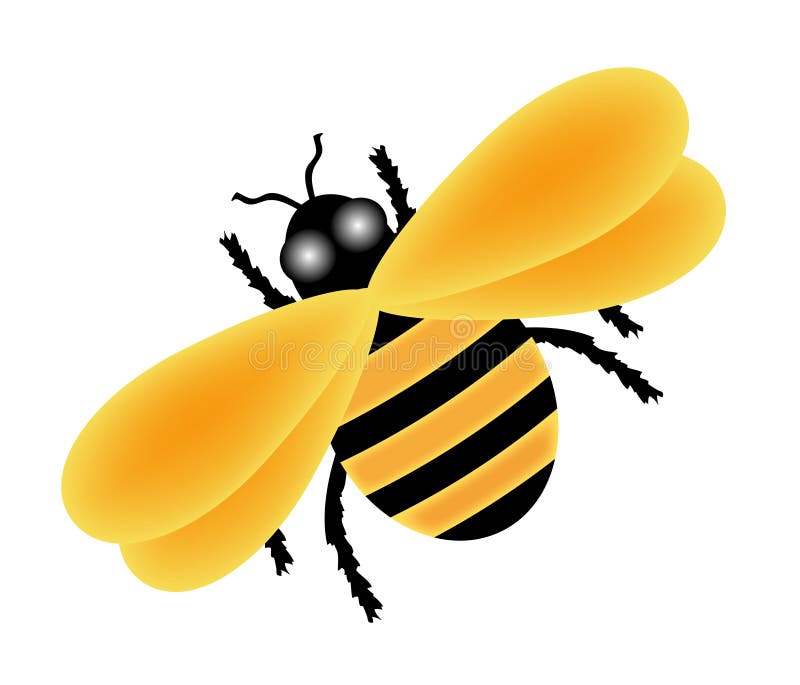 Yellow Bee stock illustration. Illustration of queen, white - 9008290