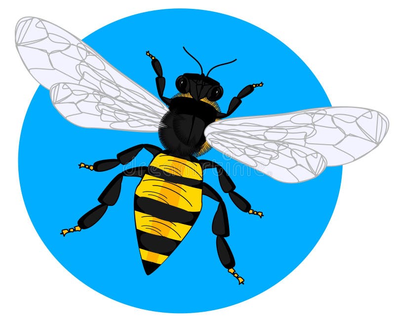 Bee on icon stock illustration. Illustration of forest - 184324073