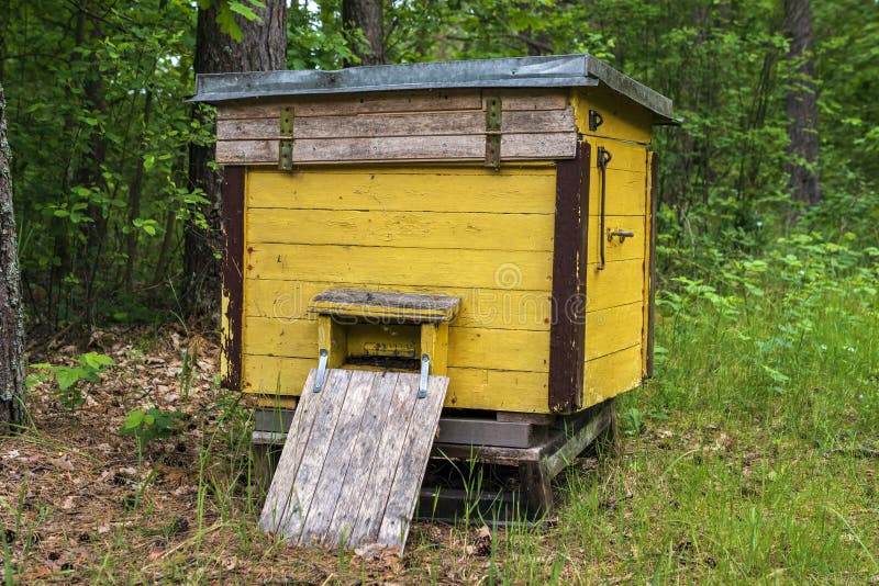 Yellow Beehive in the Green Forest on Summer. Stock Photo - Image of ...
