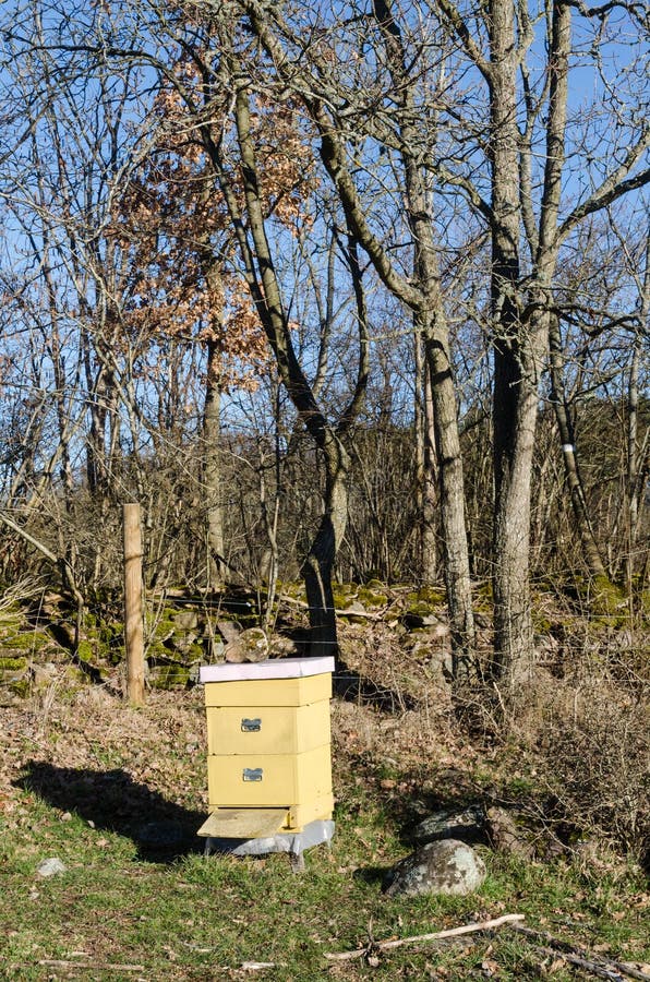 Yellow beehive in a meadow stock photo. Image of trees - 143798352
