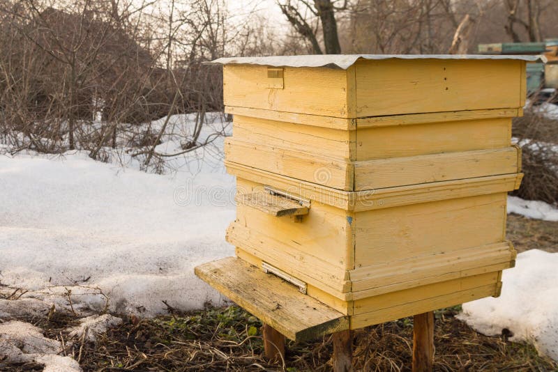 Yellow Beehive after Winter. Processing and Feeding of Bees Stock Photo ...