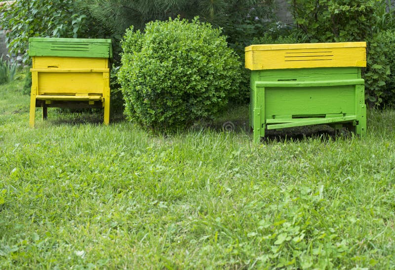 Yellow beehives stock photo. Image of summer, meadow - 31348230