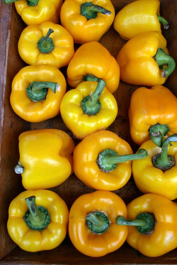 Yellow Bell Pepper stock image. Image of lunch, bellpepper - 66220141