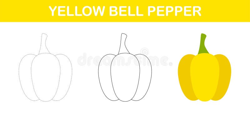 Yellow Bell Pepper Tracing and Coloring Worksheet for Kids Stock Vector ...
