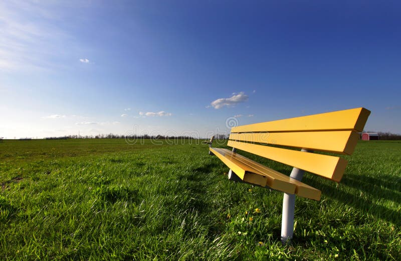 Yellow Bench in Winter Park Stock Image - Image of outdoors, daylight ...