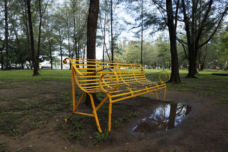 Yellow bench in the garden stock photo. Image of beautiful - 115347896