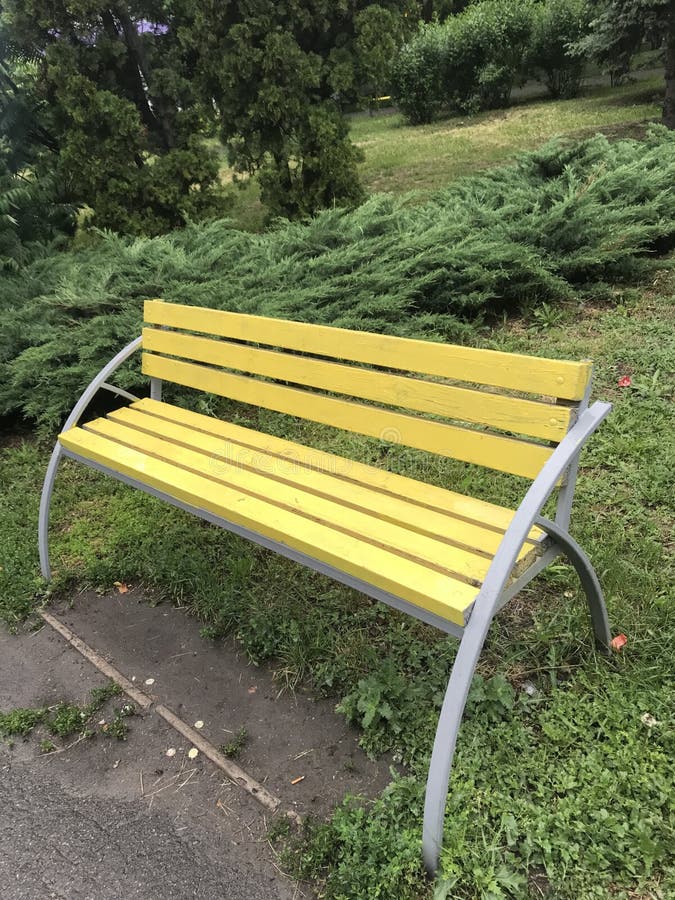 Yellow Bench in the Park Against the Background of Greenery Stock Photo ...