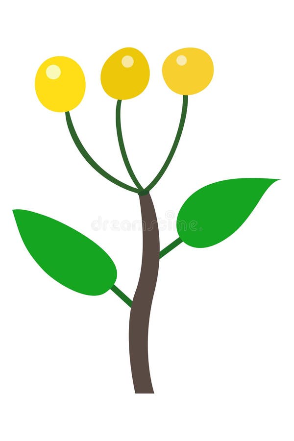 Yellow berry illustration stock vector. Illustration of stem - 14543853
