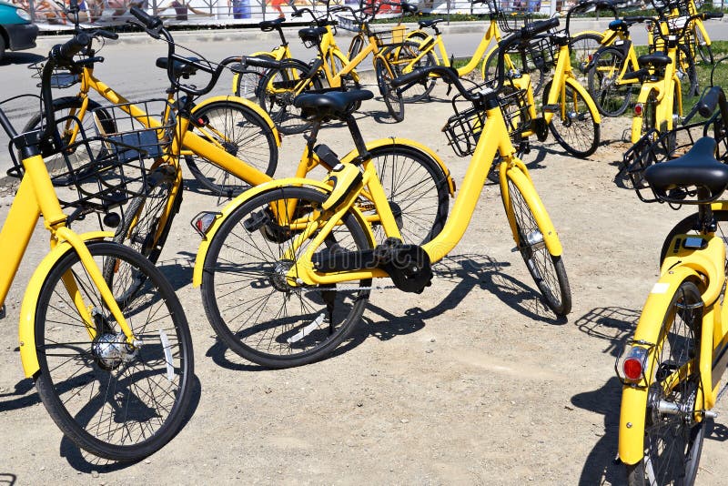 Yellow Bikes for Rent in Sunny Stock Image - Image of rent, outdoor ...