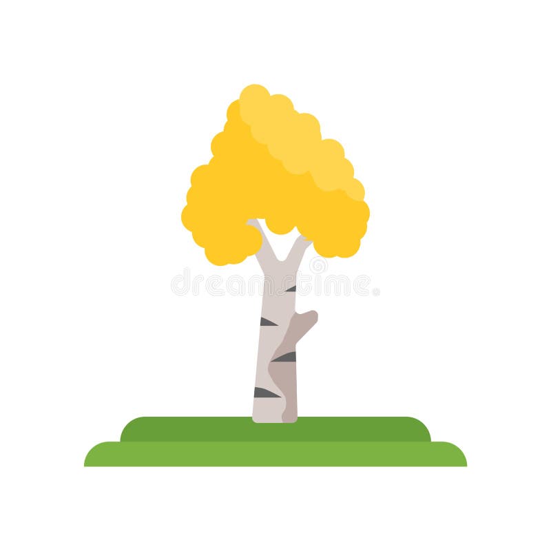 Birch tree. Vector stock vector. Illustration of single - 18120124