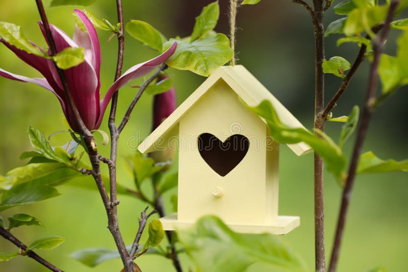 Yellow Bird House on Blooming Magnolia Tree Outdoors Stock Image ...