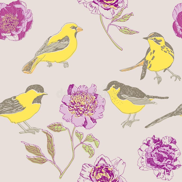 Yellow Finch Stock Illustrations – 791 Yellow Finch Stock Illustrations ...