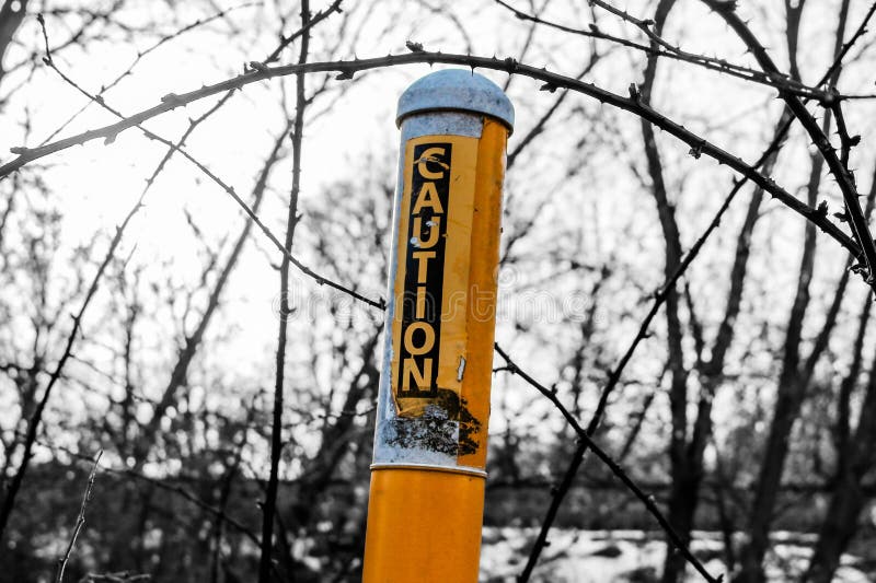 120 Security Post Drawing Stock Photos - Free & Royalty-Free Stock ...