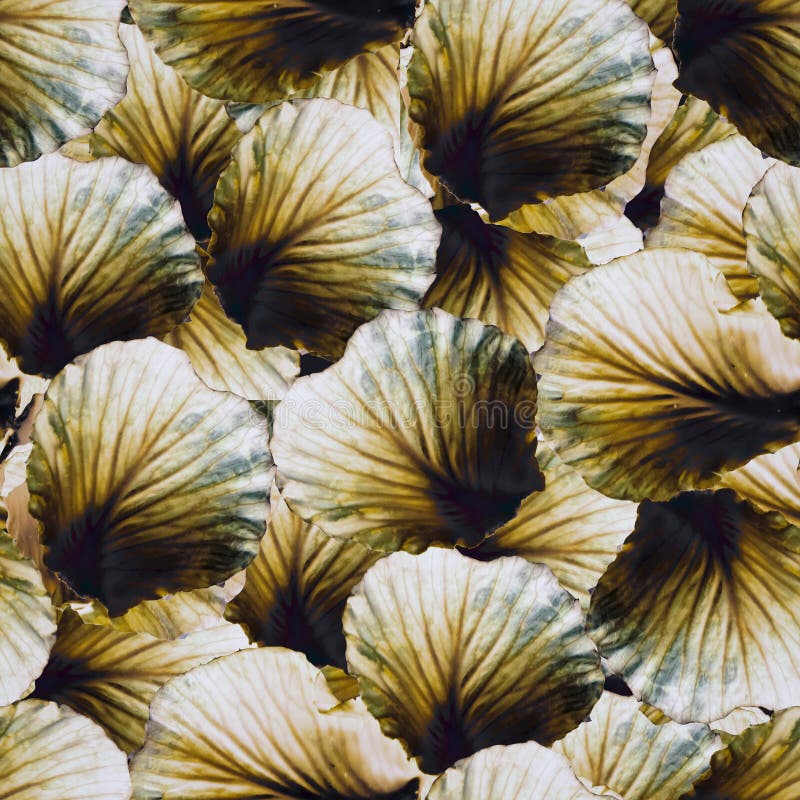 Yellow and Black Color Cabbage Leaves Seamless Pattern Stock ...