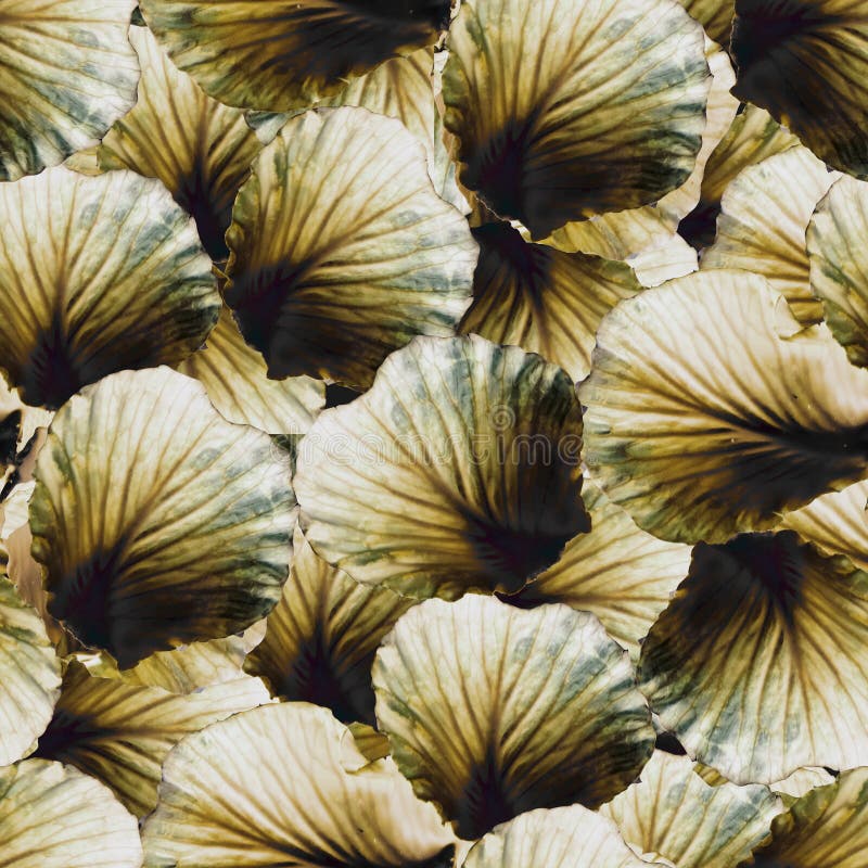 Yellow and Black Color Cabbage Leaves Seamless Pattern Stock Photo ...