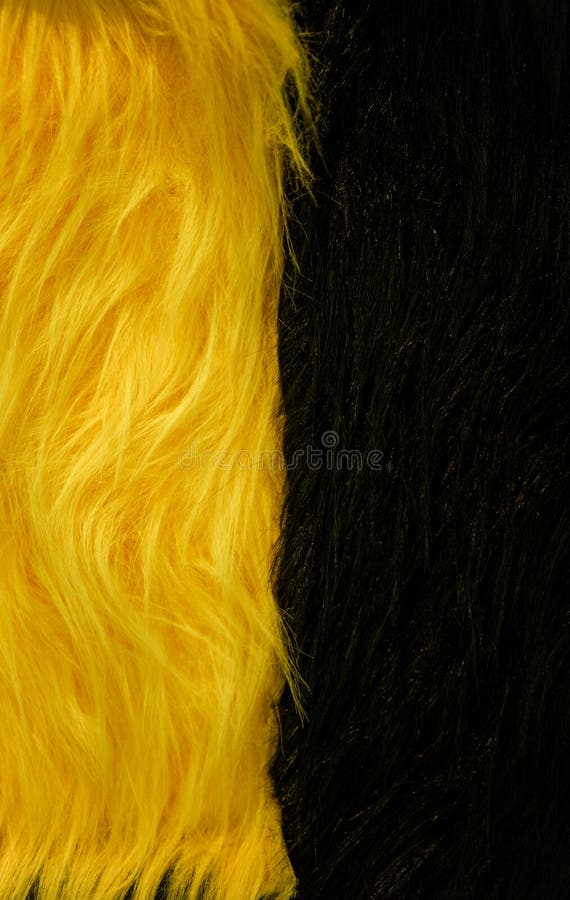 Yellow Black Fluff Background Wall Stock Photo - Image of longhair ...