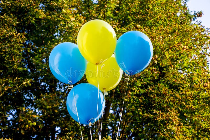 Yellow and Blue Balloons on the Background of Trees_ Stock Photo ...